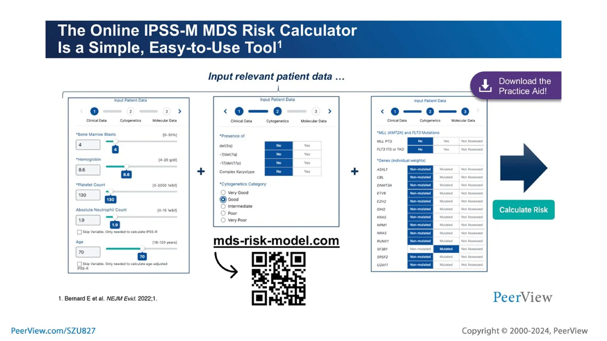 Resetting Standards in MDS: New Principles for Integrating Innovative ...