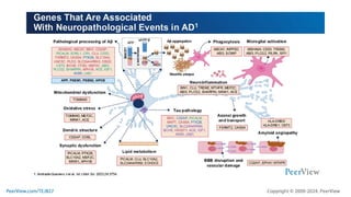 Exploring New Frontiers in Alzheimer’s Disease: Early Detection ...