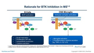 Targeting BTK: The Latest Data on the Evolving Treatment Landscape for ...