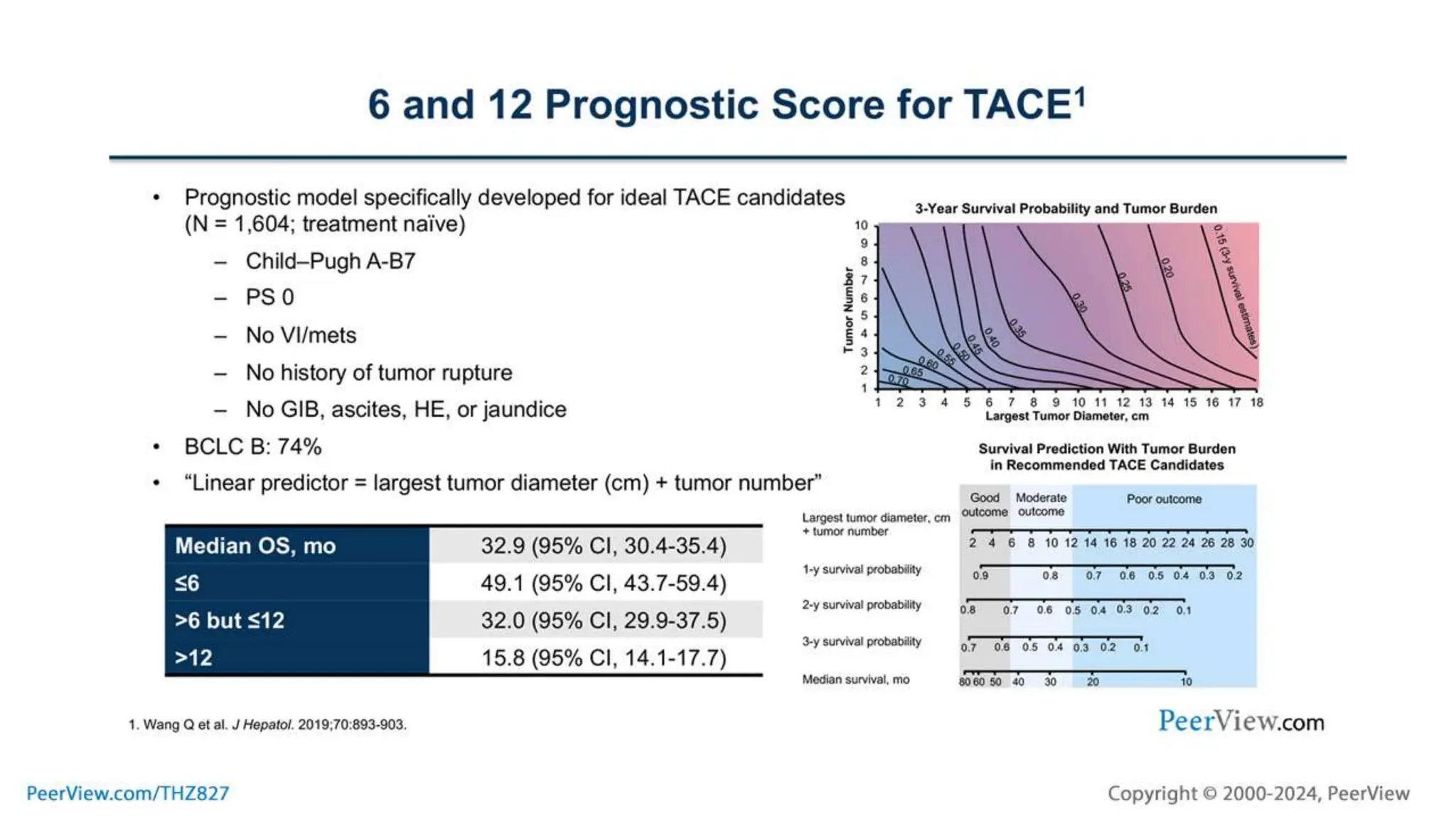 Synergizing for Success in HCC: Immunotherapy Advances and the Role of ...
