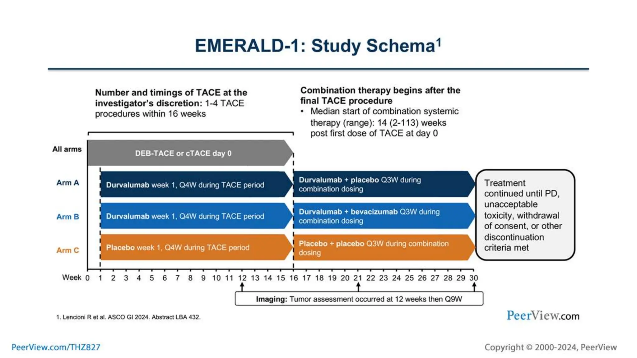Synergizing for Success in HCC: Immunotherapy Advances and the Role of ...