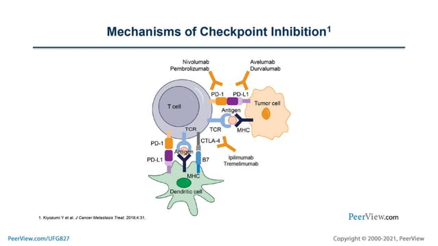 Checkpoint Inhibition in Gastrointestinal Cancers: Recent Advances in ...
