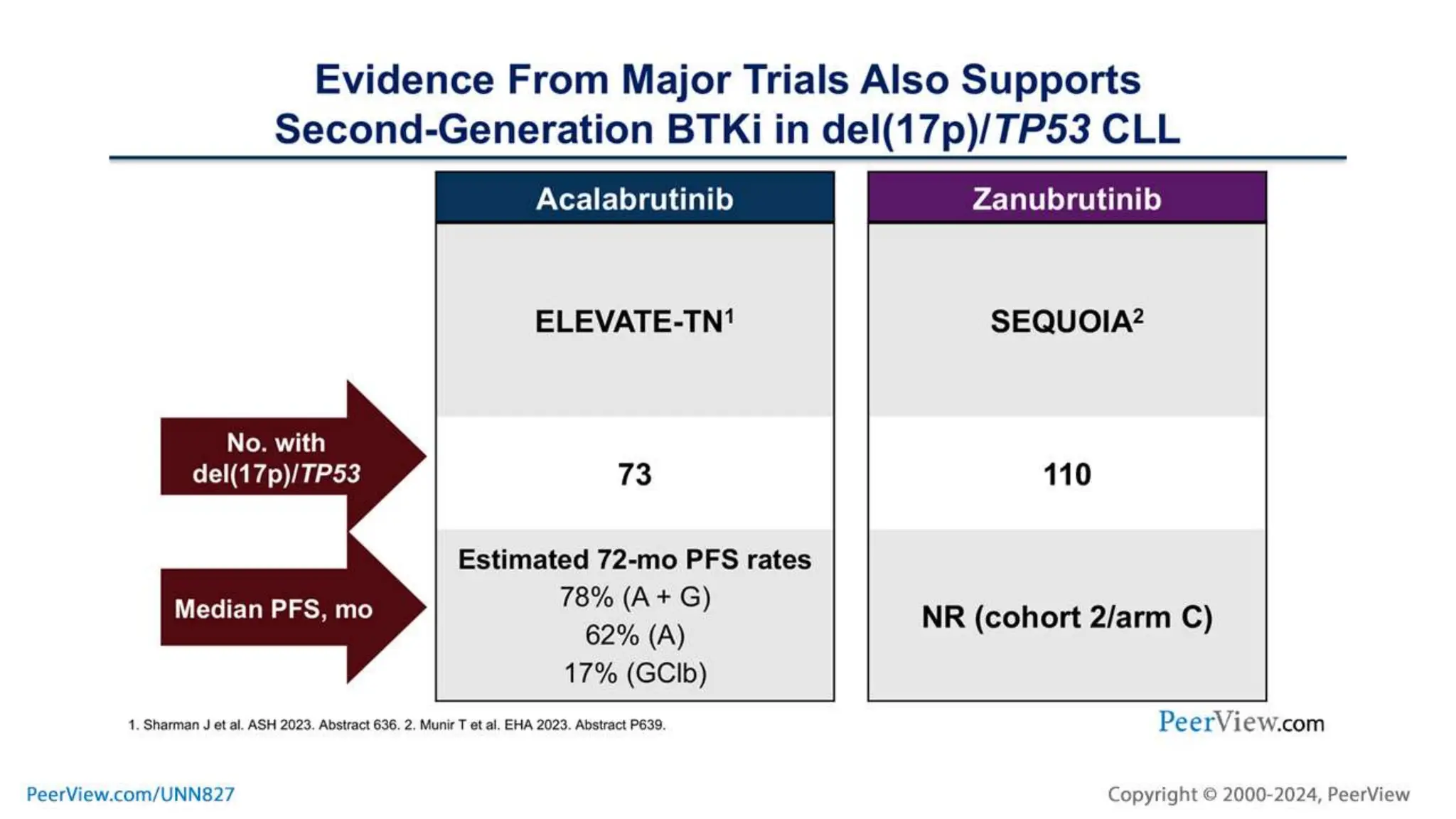 Redefining Frontlines in CLL: Key Questions on the Role of CIT, BTKi ...