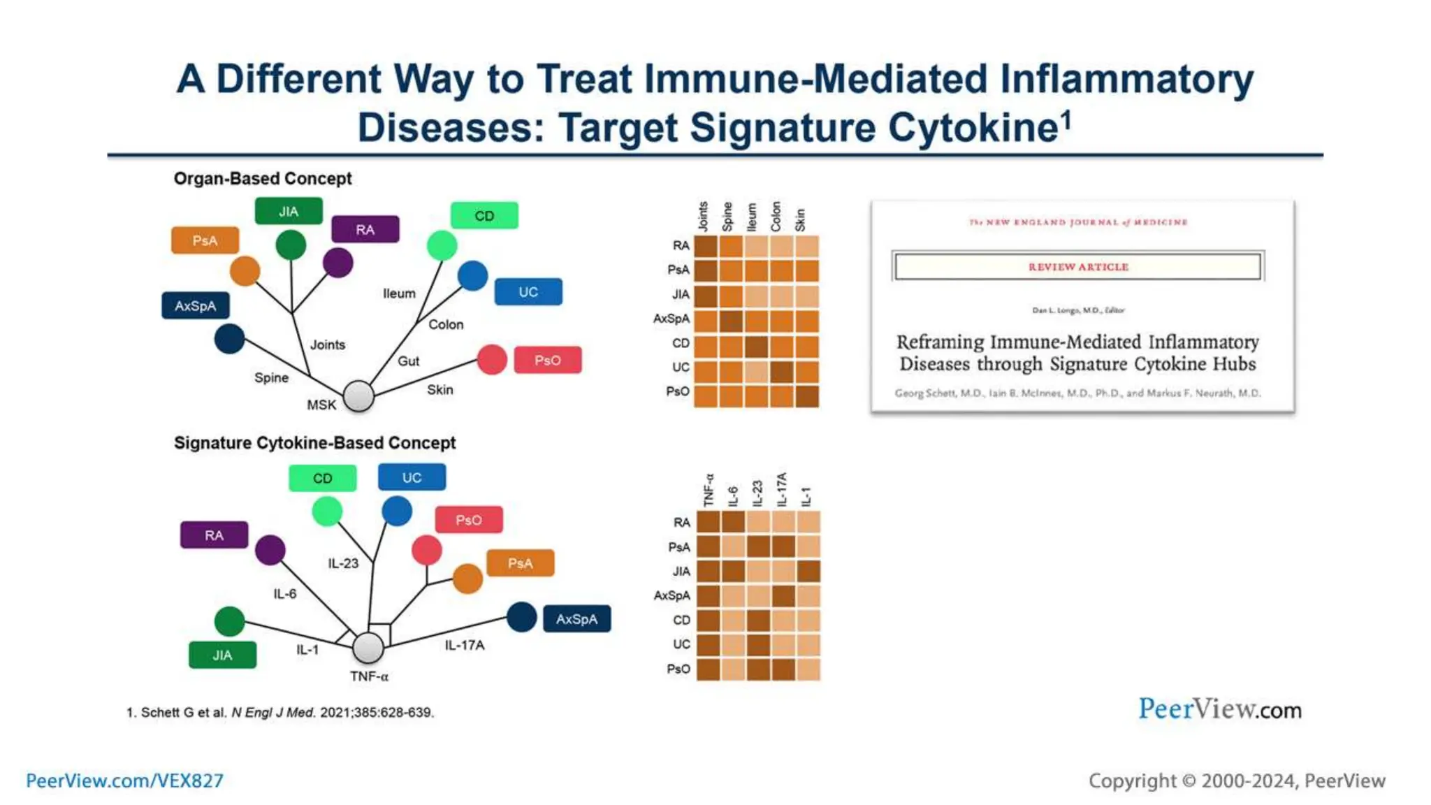 Interdisciplinary Approaches to Management of Immune-Mediated Inflammatory Diseases: Addressing ...