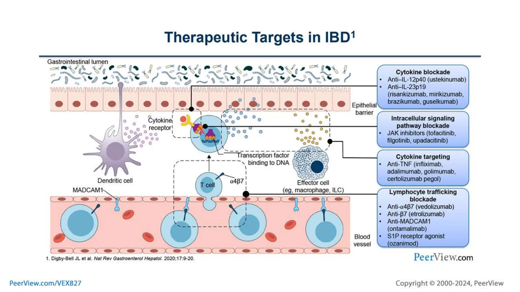 Interdisciplinary Approaches to Management of Immune-Mediated Inflammatory Diseases: Addressing ...