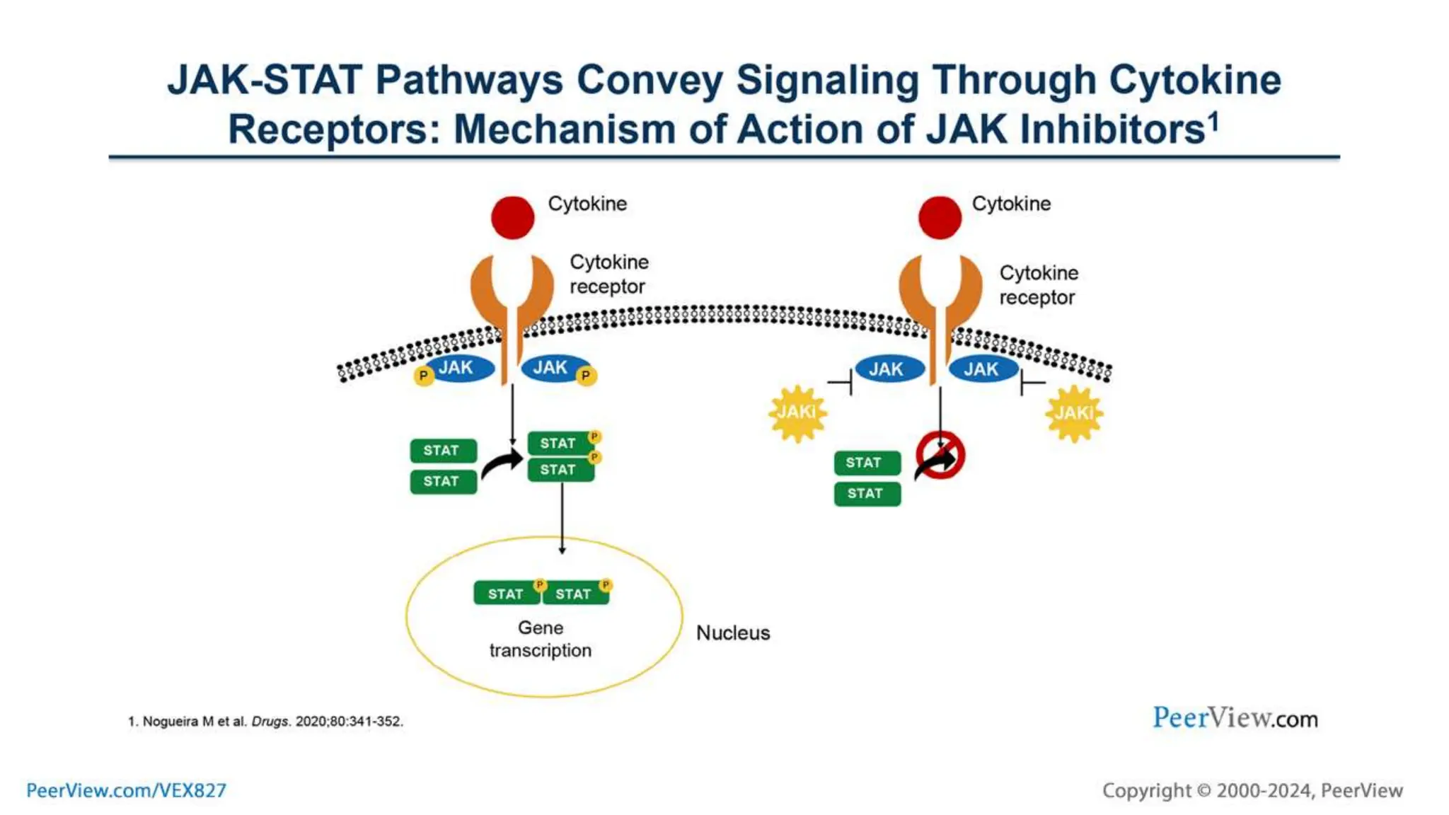 Interdisciplinary Approaches to Management of Immune-Mediated Inflammatory Diseases: Addressing ...