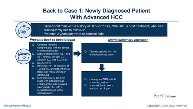 Mapping the Optimal Treatment Route in HCC: Identifying Best Practices ...