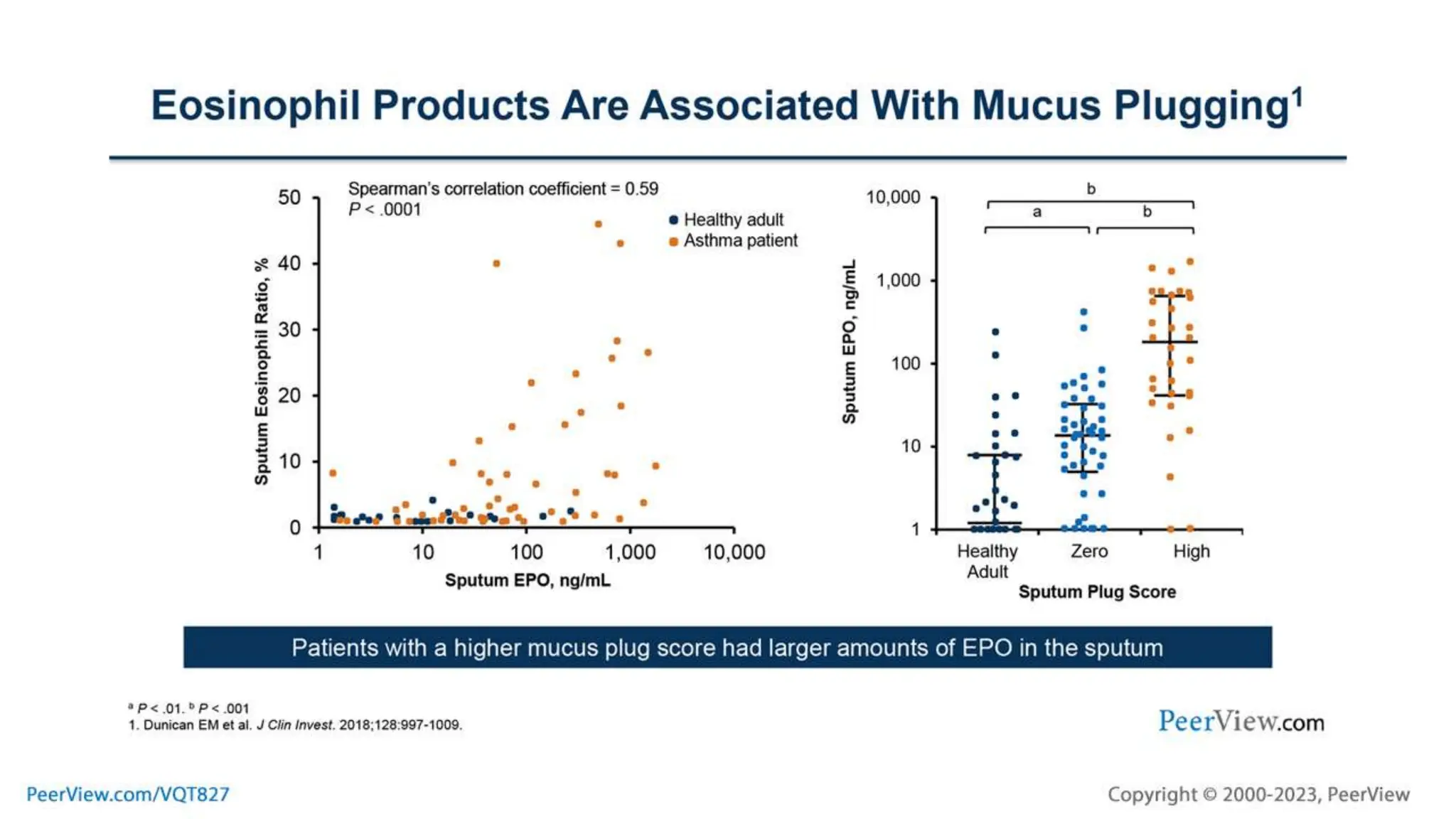 Beyond Airway Inflammation: Examining the Potential Clinical Utility of ...