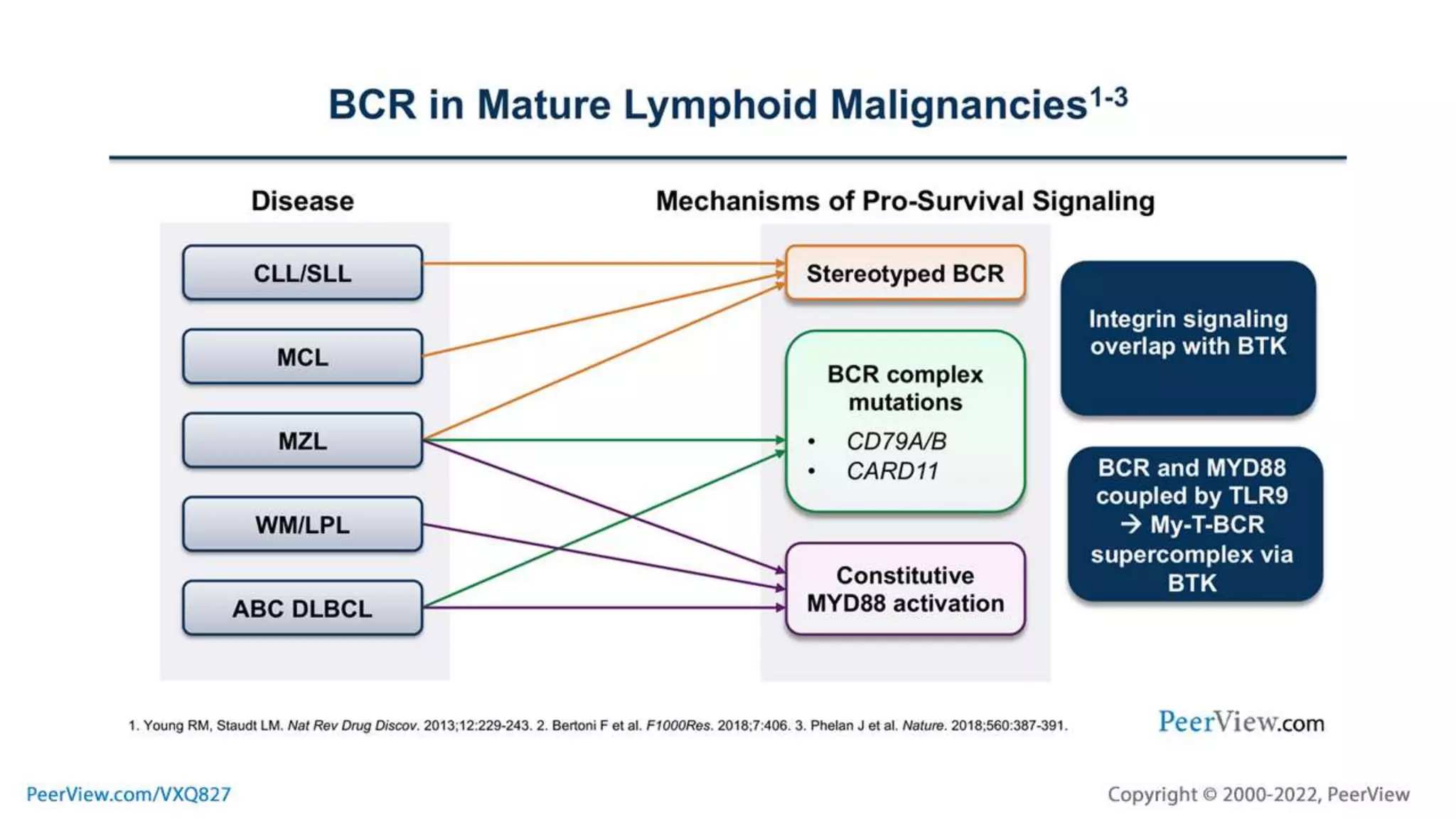 The Winning Way With BTK Inhibitors in CLL: Evidence-Informed Choices ...