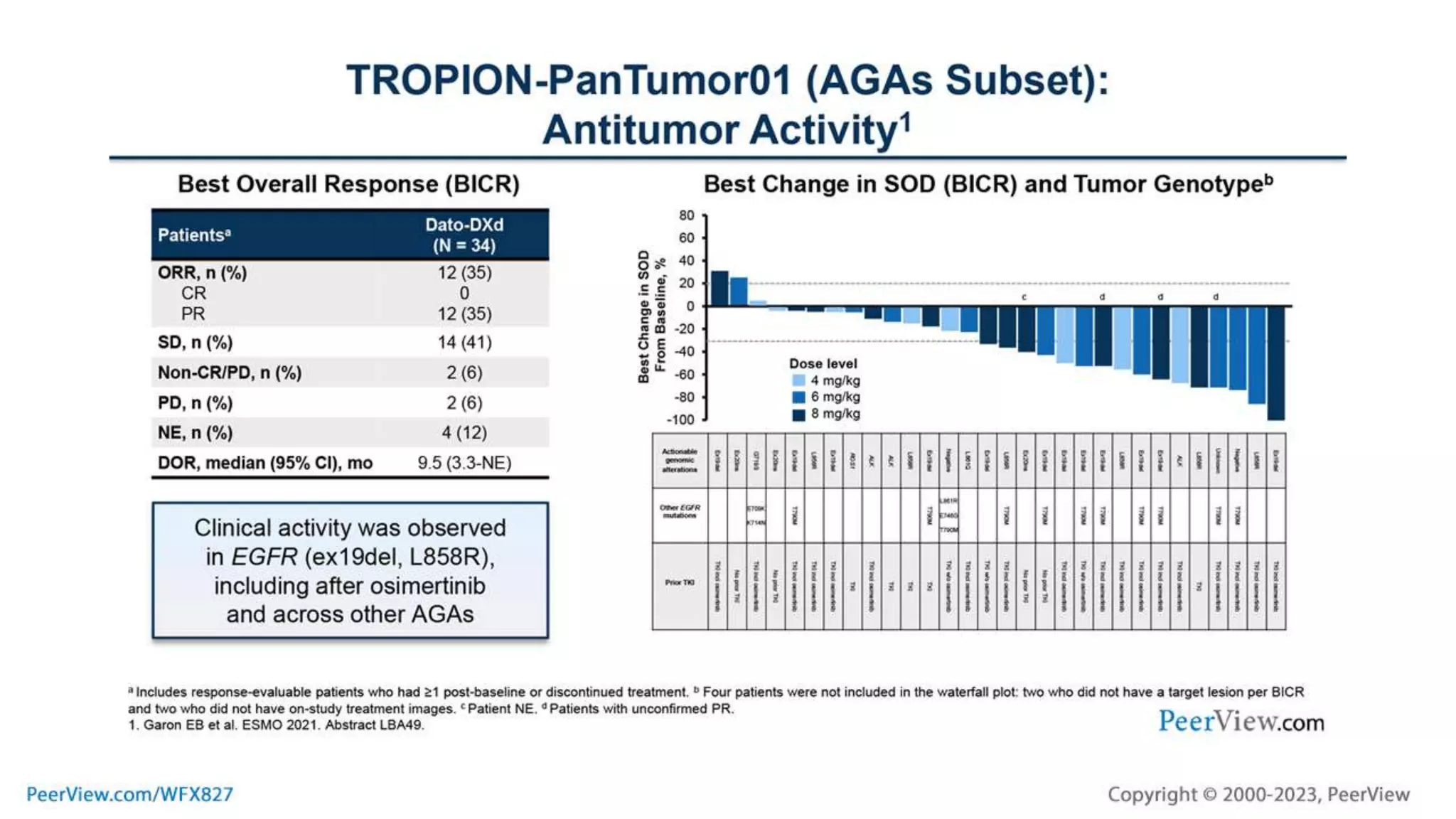 A Bold Frontier: Shattering the Limits of Conventional Therapies and Reshaping the Future of ...