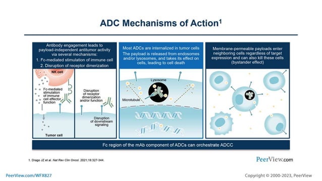A Bold Frontier: Shattering the Limits of Conventional Therapies and Reshaping the Future of ...