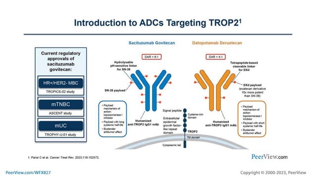 A Bold Frontier: Shattering the Limits of Conventional Therapies and Reshaping the Future of ...