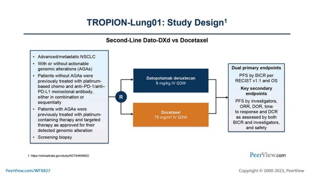 A Bold Frontier: Shattering the Limits of Conventional Therapies and Reshaping the Future of ...