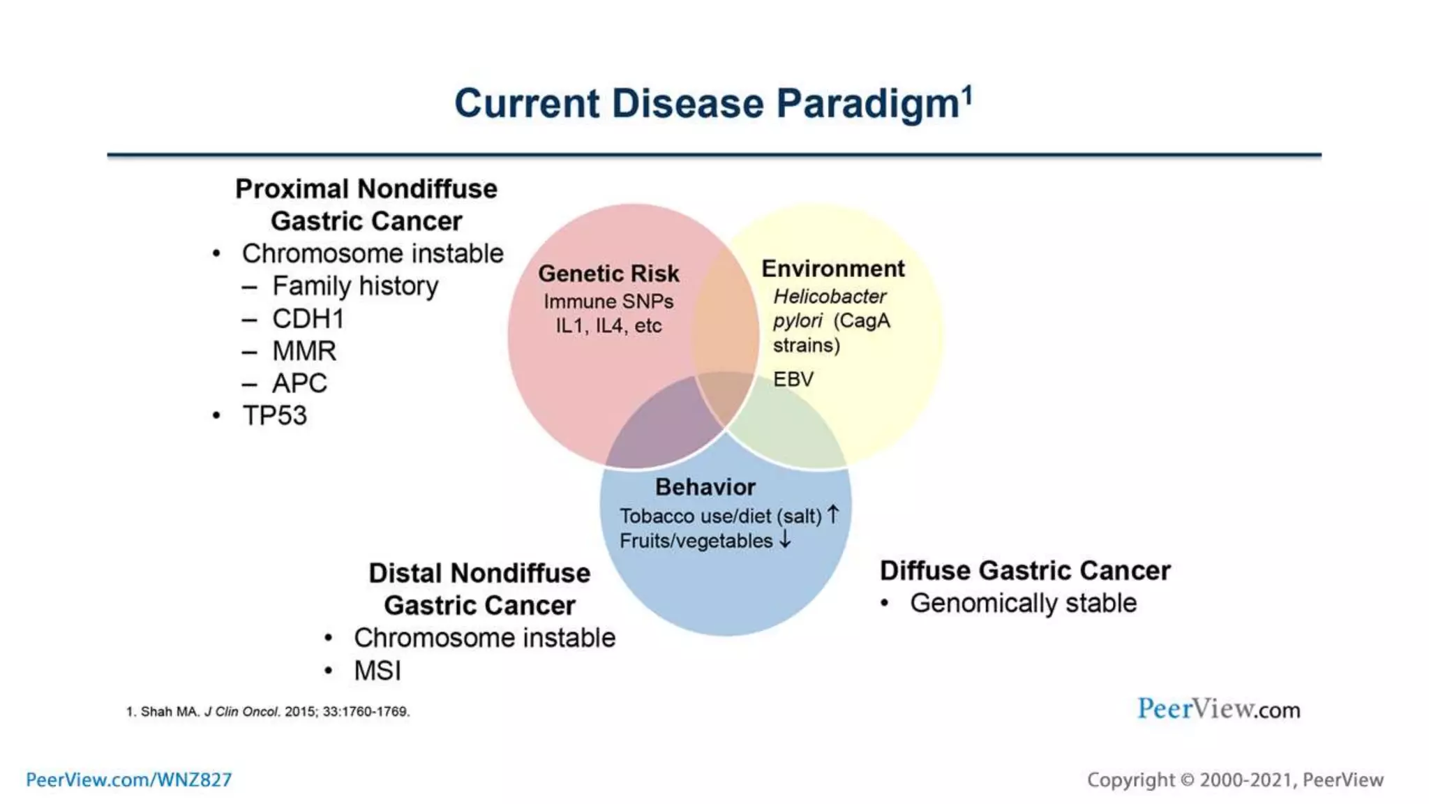 Redrawing the Algorithm in Gastric and GEJ Cancers: Treatment Planning ...