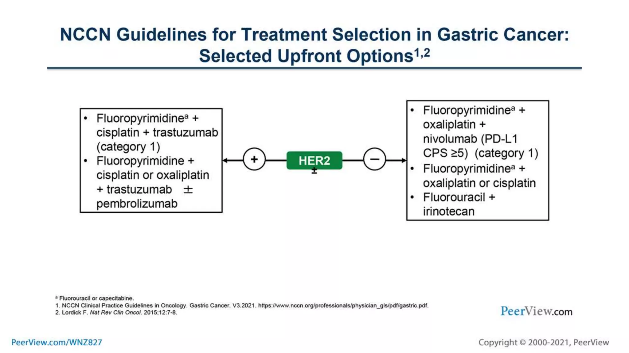 Redrawing the Algorithm in Gastric and GEJ Cancers: Treatment Planning ...