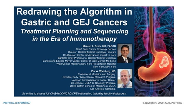 Redrawing the Algorithm in Gastric and GEJ Cancers: Treatment Planning ...