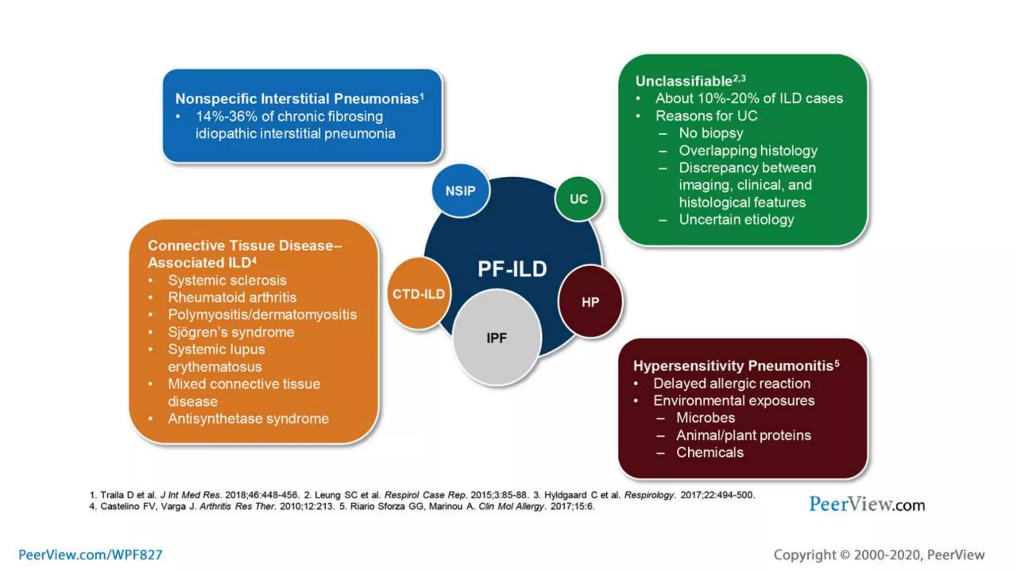 Differential Diagnosis of Interstitial Lung Diseases: Interpreting HRCT ...