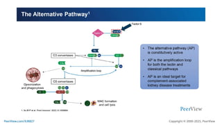 Advancements in IgA Nephropathy: Discovering the Potential of ...