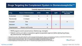 Advancements in IgA Nephropathy: Discovering the Potential of ...