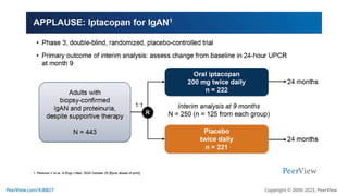 Advancements in IgA Nephropathy: Discovering the Potential of ...