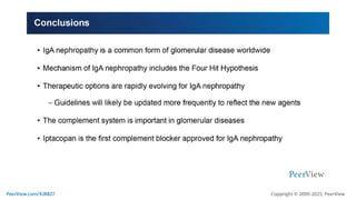 Advancements in IgA Nephropathy: Discovering the Potential of ...