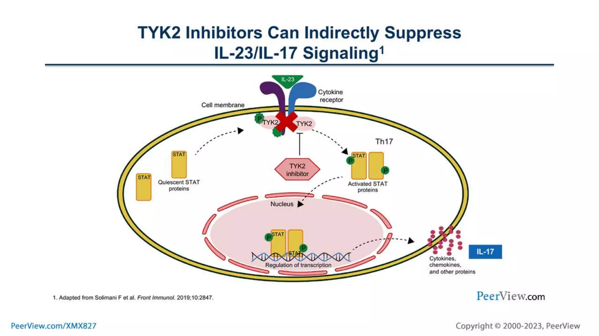 Understanding TYK2’s Role in Psoriasis Pathogenesis and Taking a Practical Approach to Realizing ...