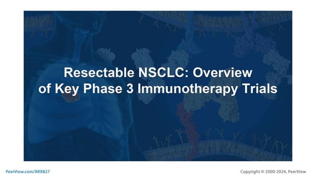 Making Patient-Centric Immunotherapy a Reality in Lung Cancer: Best Practices for Patient ...