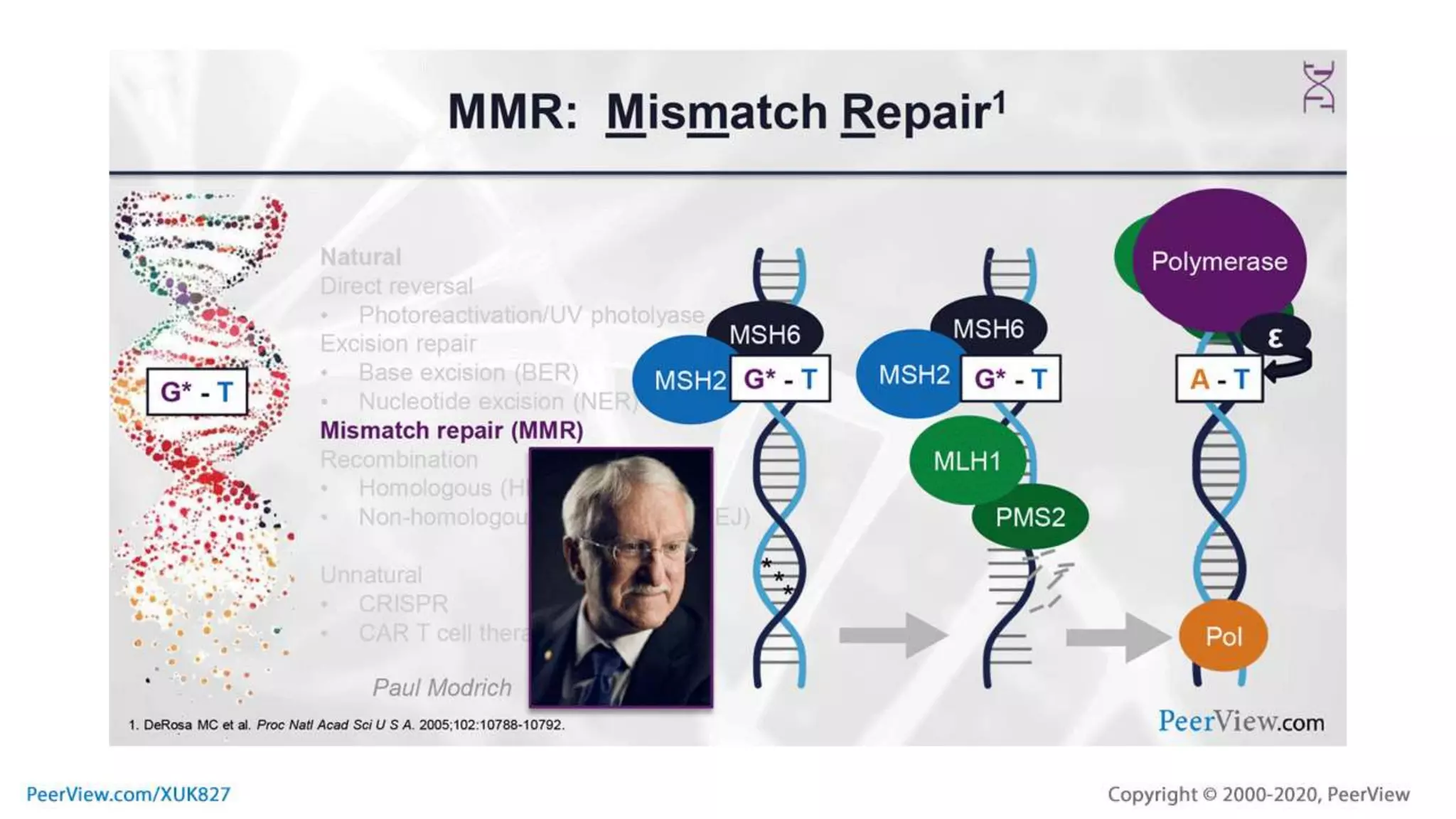 Targeting Pathogenic Mutations in the DNA Damage Response Pathway ...