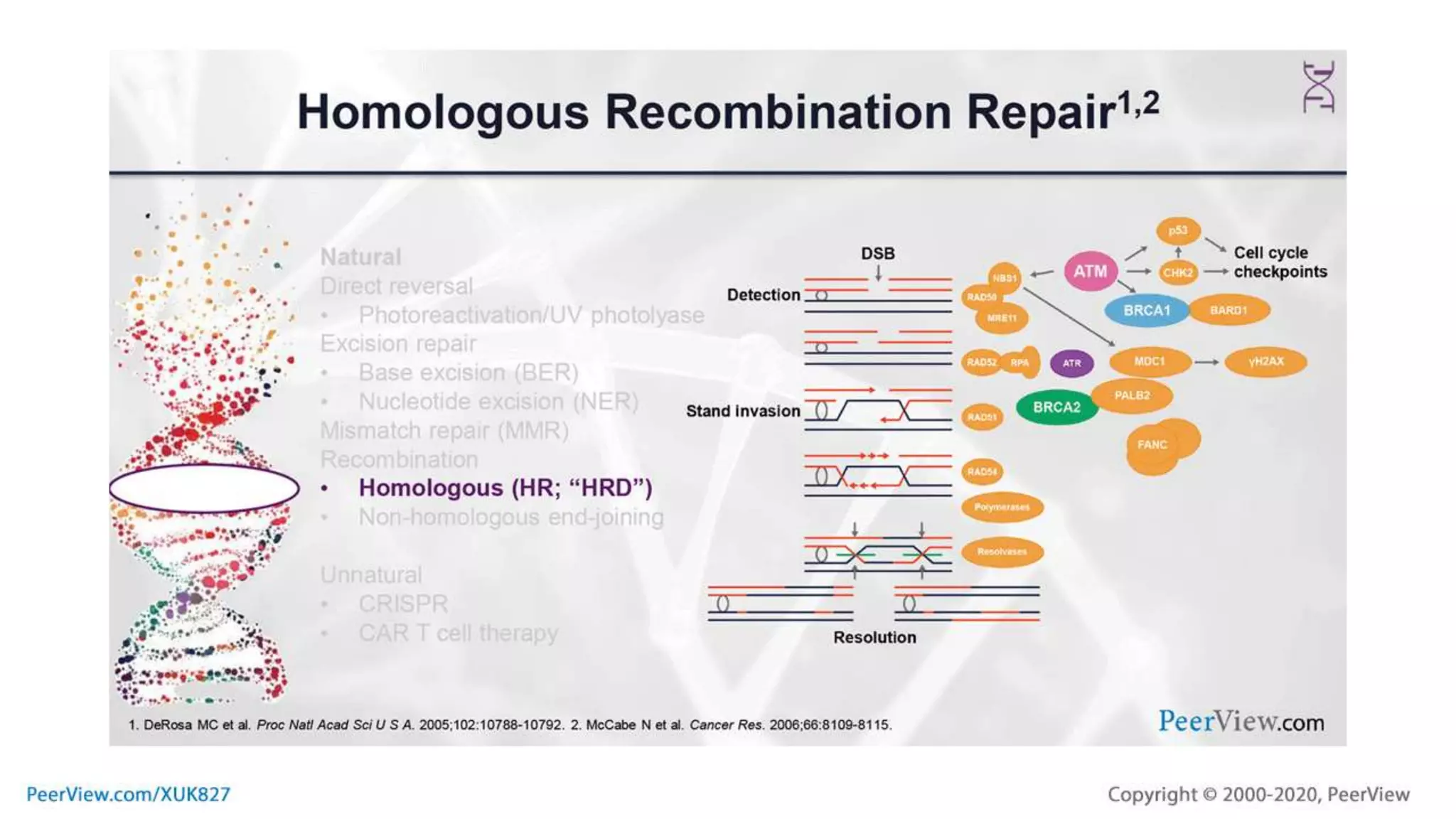 Targeting Pathogenic Mutations in the DNA Damage Response Pathway ...