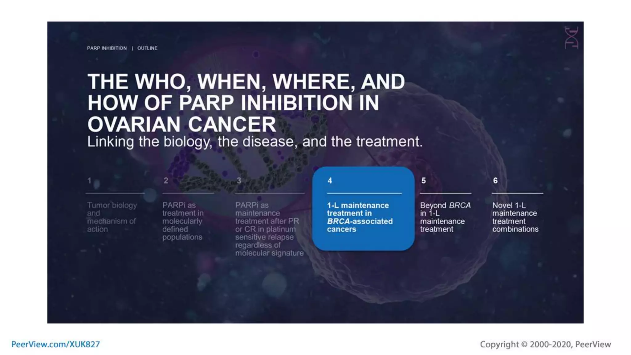 Targeting Pathogenic Mutations in the DNA Damage Response Pathway ...