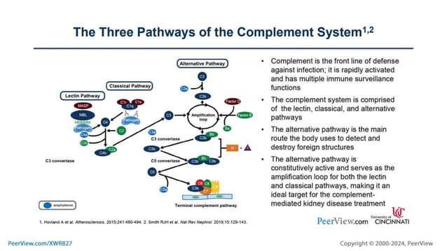 Aligning Clinical Practice With Emerging Evidence: Navigating the ...