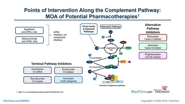 Aligning Clinical Practice With Emerging Evidence: Navigating the ...