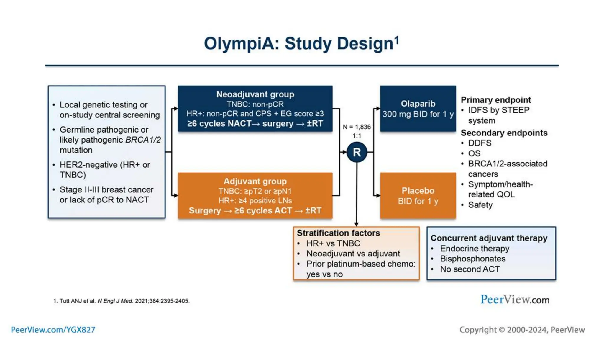 Unraveling the Complex Choices in Early Breast Cancer: A Roadmap to ...