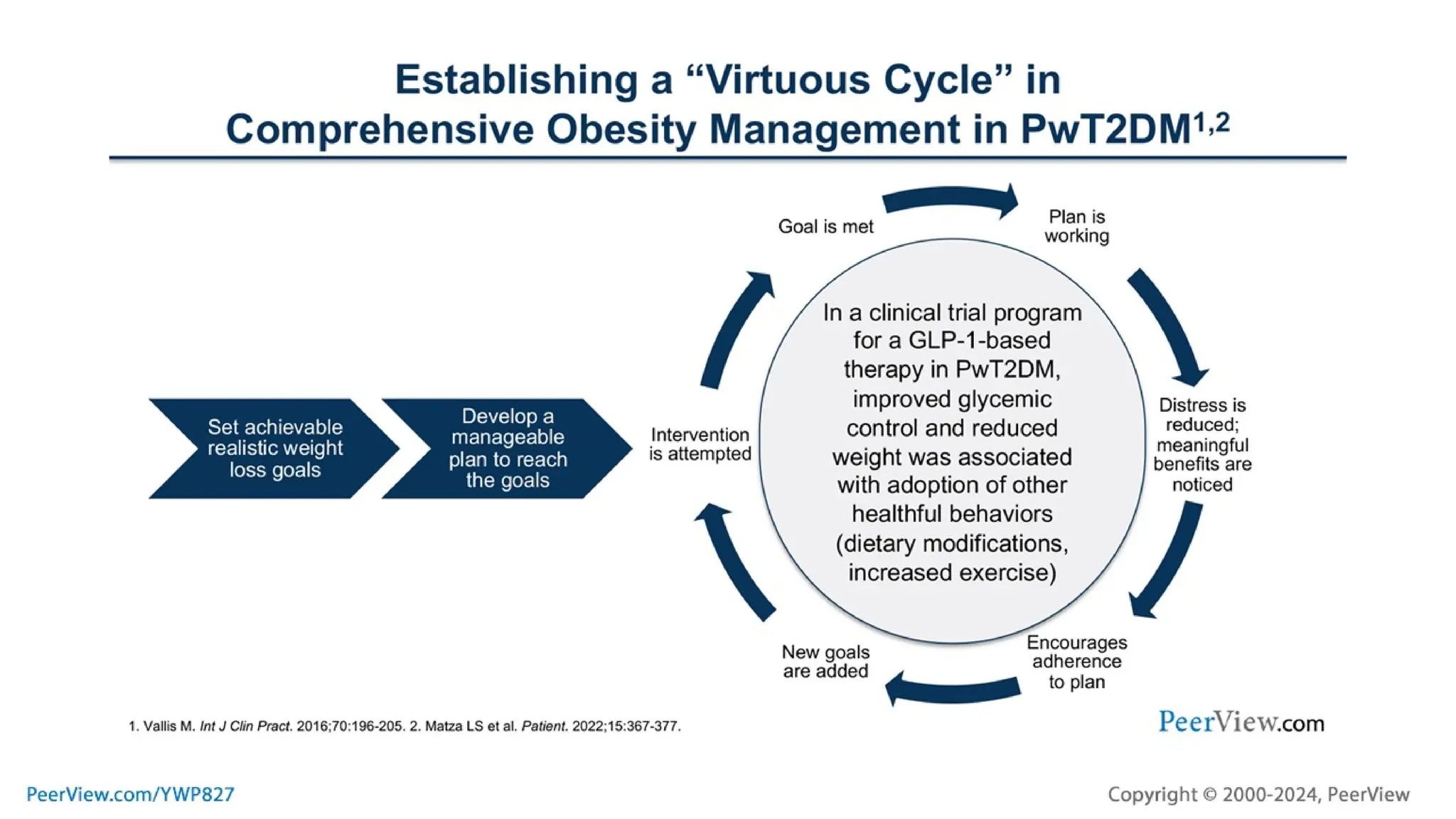 Transforming T2DM Treatment in Primary Care: Discerning the Glycemic ...