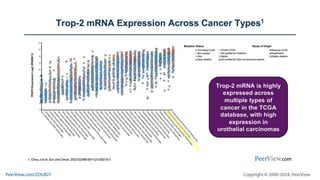 On Target: Integrating Trop-2-Directed Therapeutics for Urothelial ...