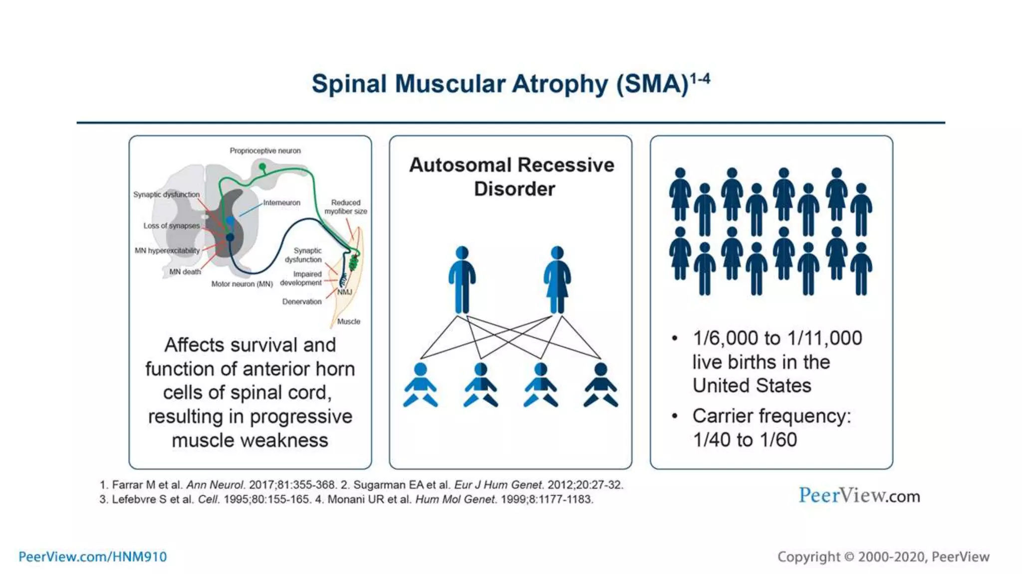 Ensuring Optimal Management Throughout the Clinical Spectrum of Spinal ...