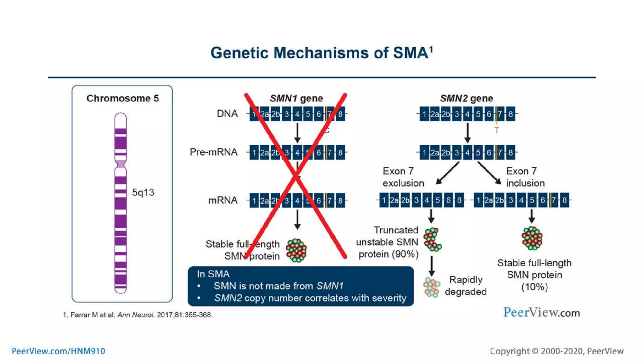 Ensuring Optimal Management Throughout the Clinical Spectrum of Spinal ...