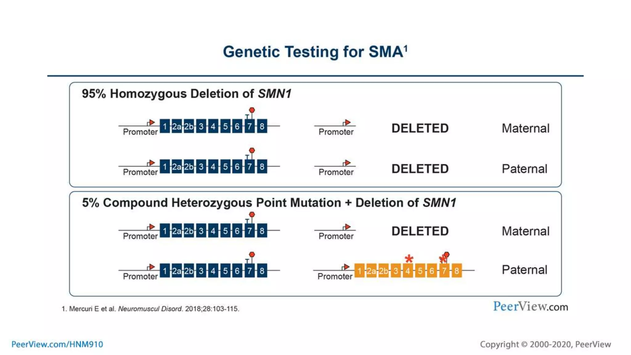 Ensuring Optimal Management Throughout the Clinical Spectrum of Spinal ...