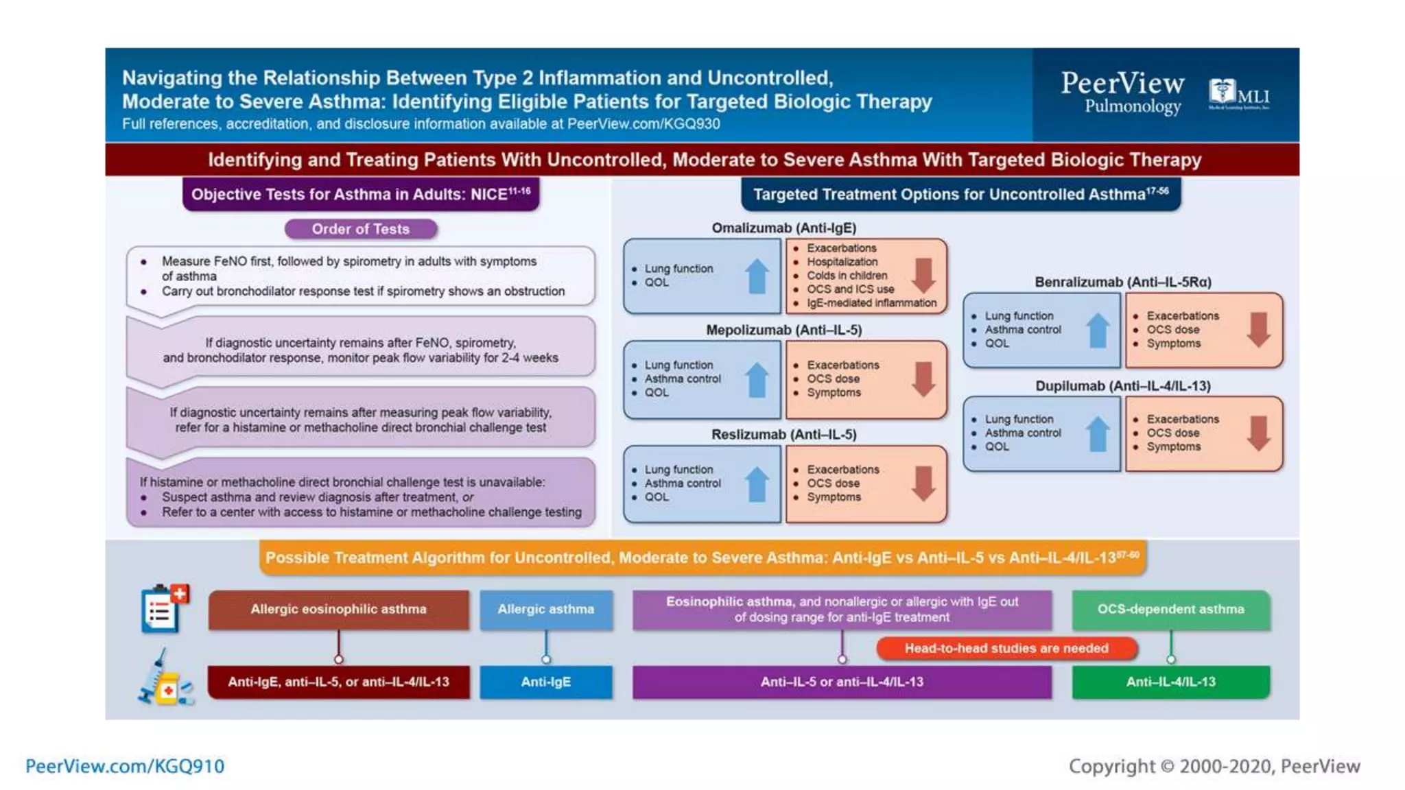 Navigating the Relationship Between Type 2 Inflammation and ...