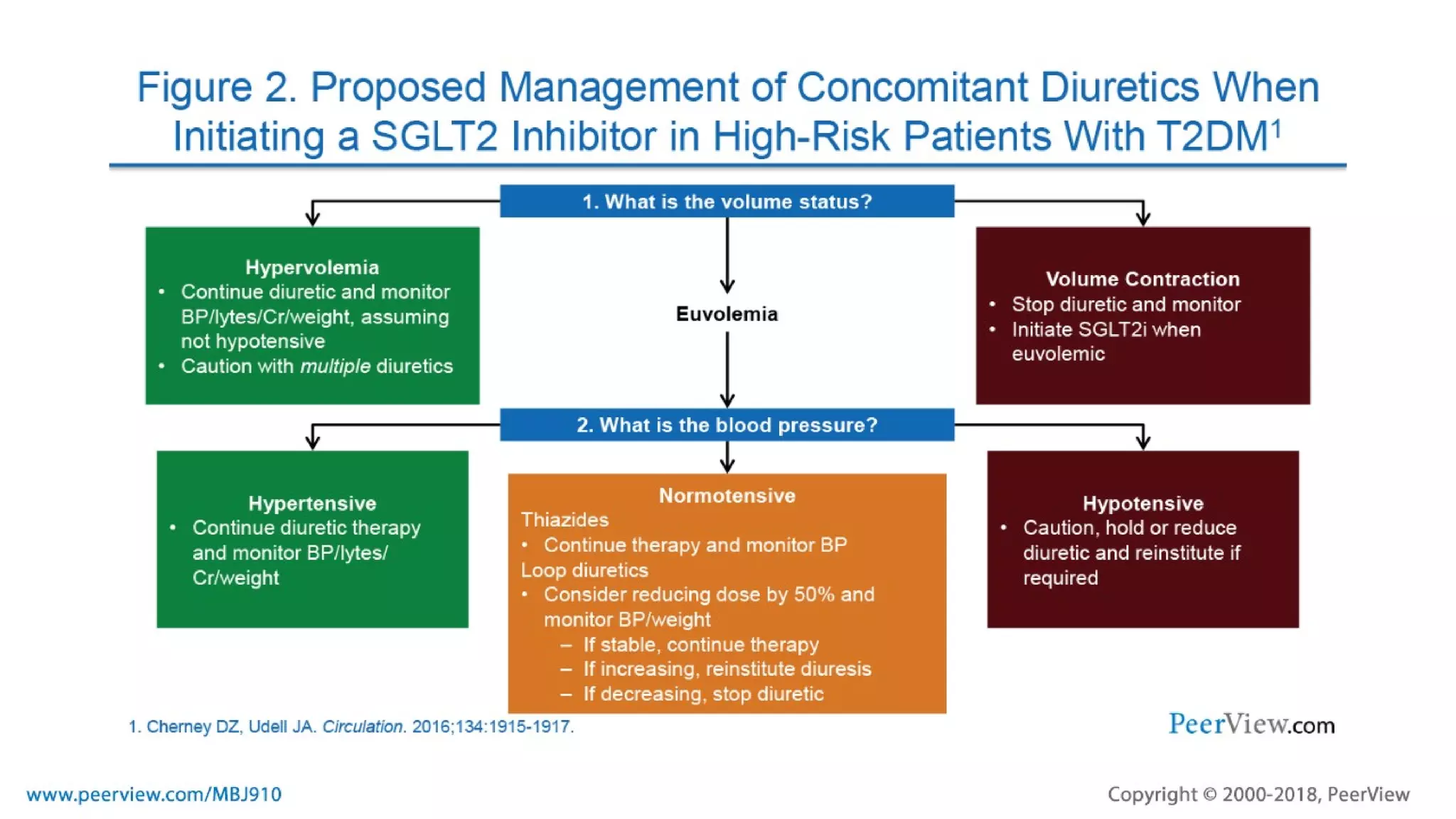 The Role of SGLT2 Inhibitors in Type 2 Diabetes: CV, Metabolic, and ...
