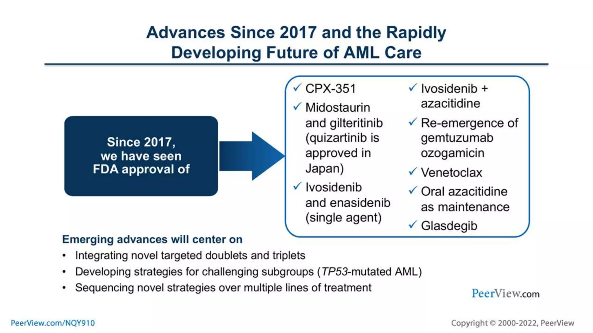 The Power of Personalized Medicine in AML: Linking Individualized ...