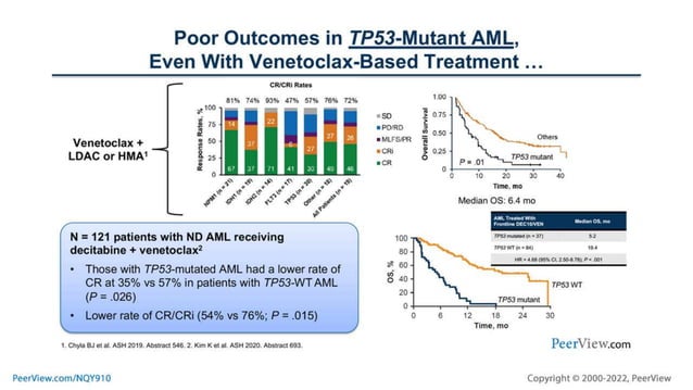 The Power of Personalized Medicine in AML: Linking Individualized ...