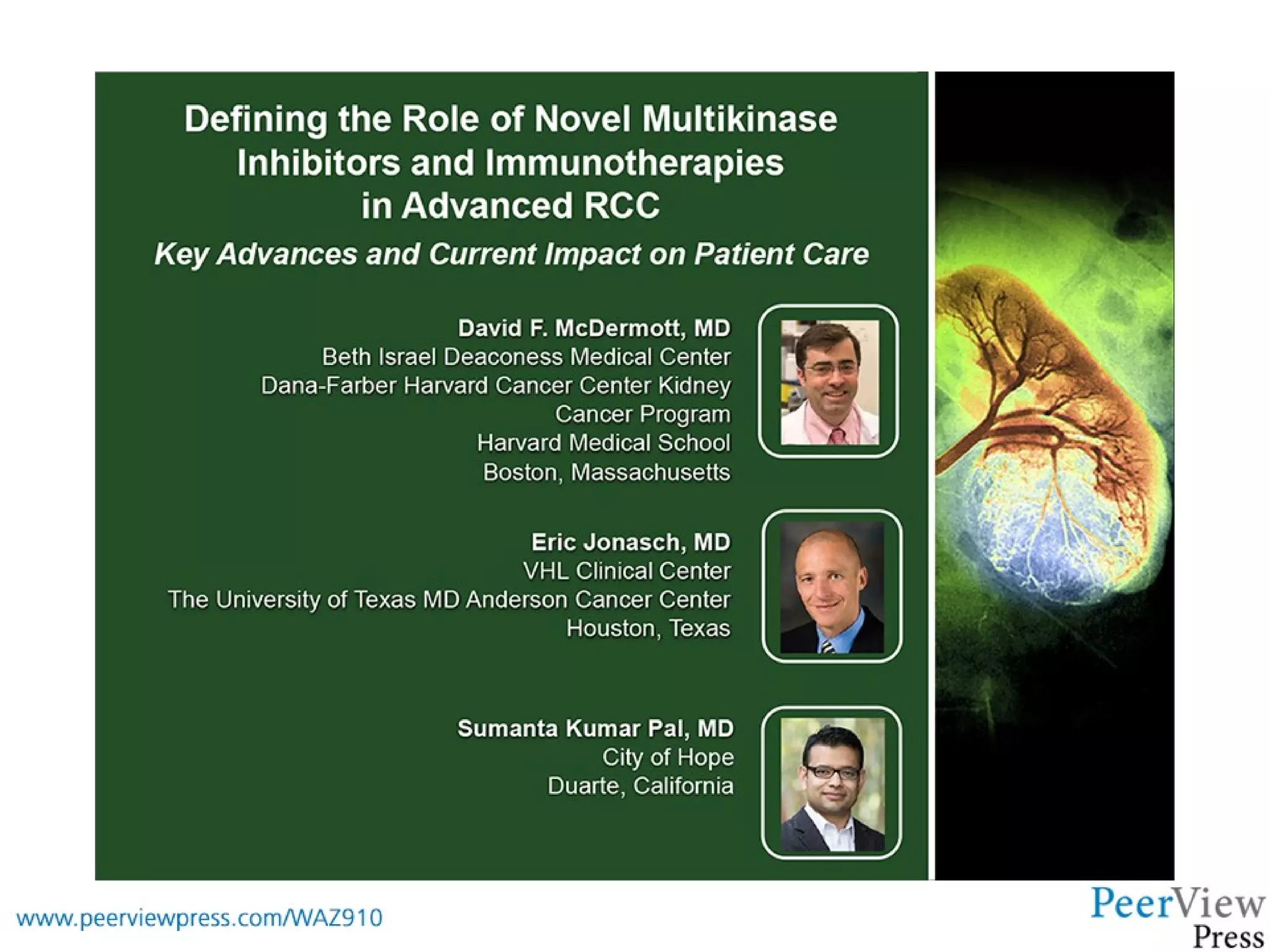 Defining the Role of Novel Multikinase Inhibitors and Immunotherapies ...