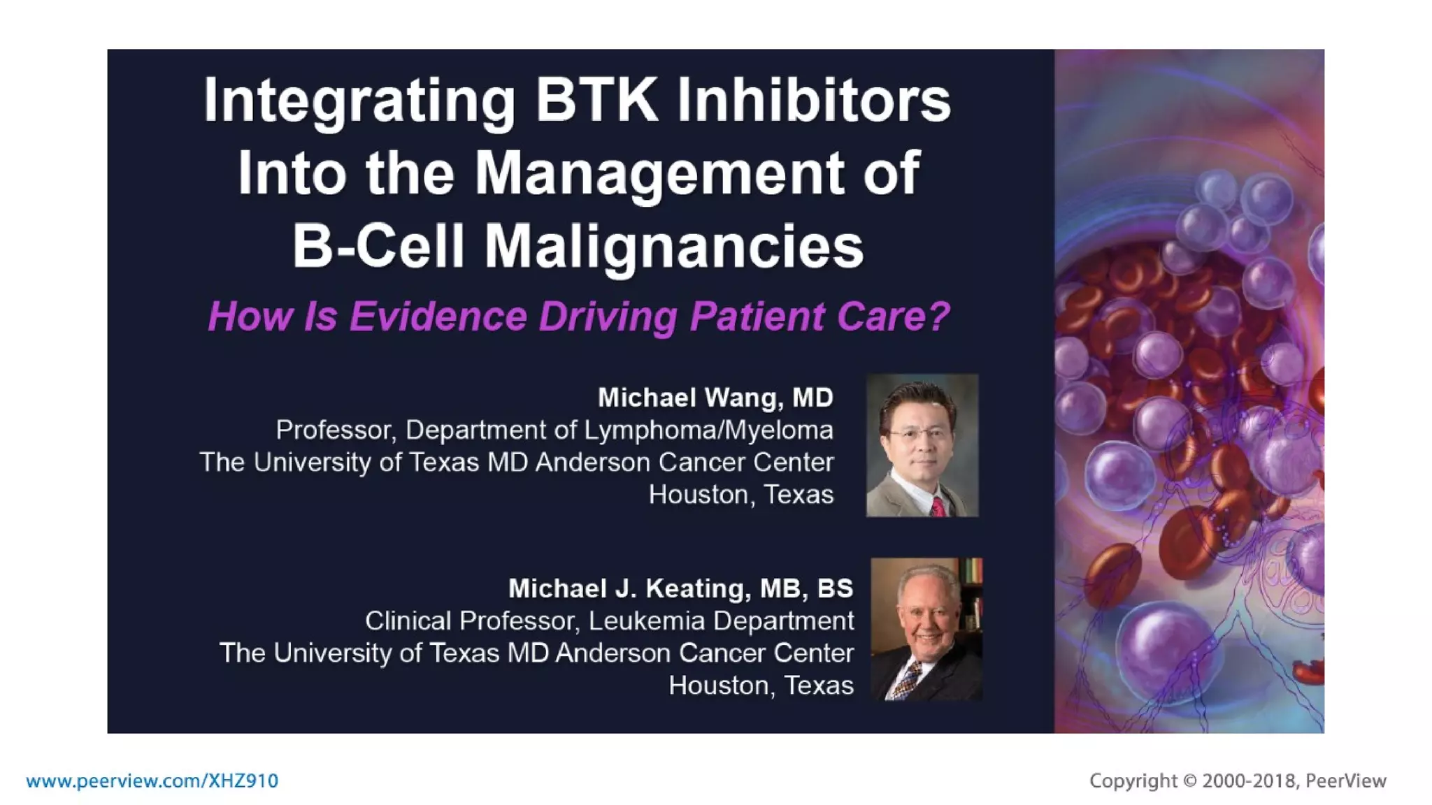 Integrating BTK Inhibitors Into the Management of B-Cell Malignancies: How Is Evidence Driving ...
