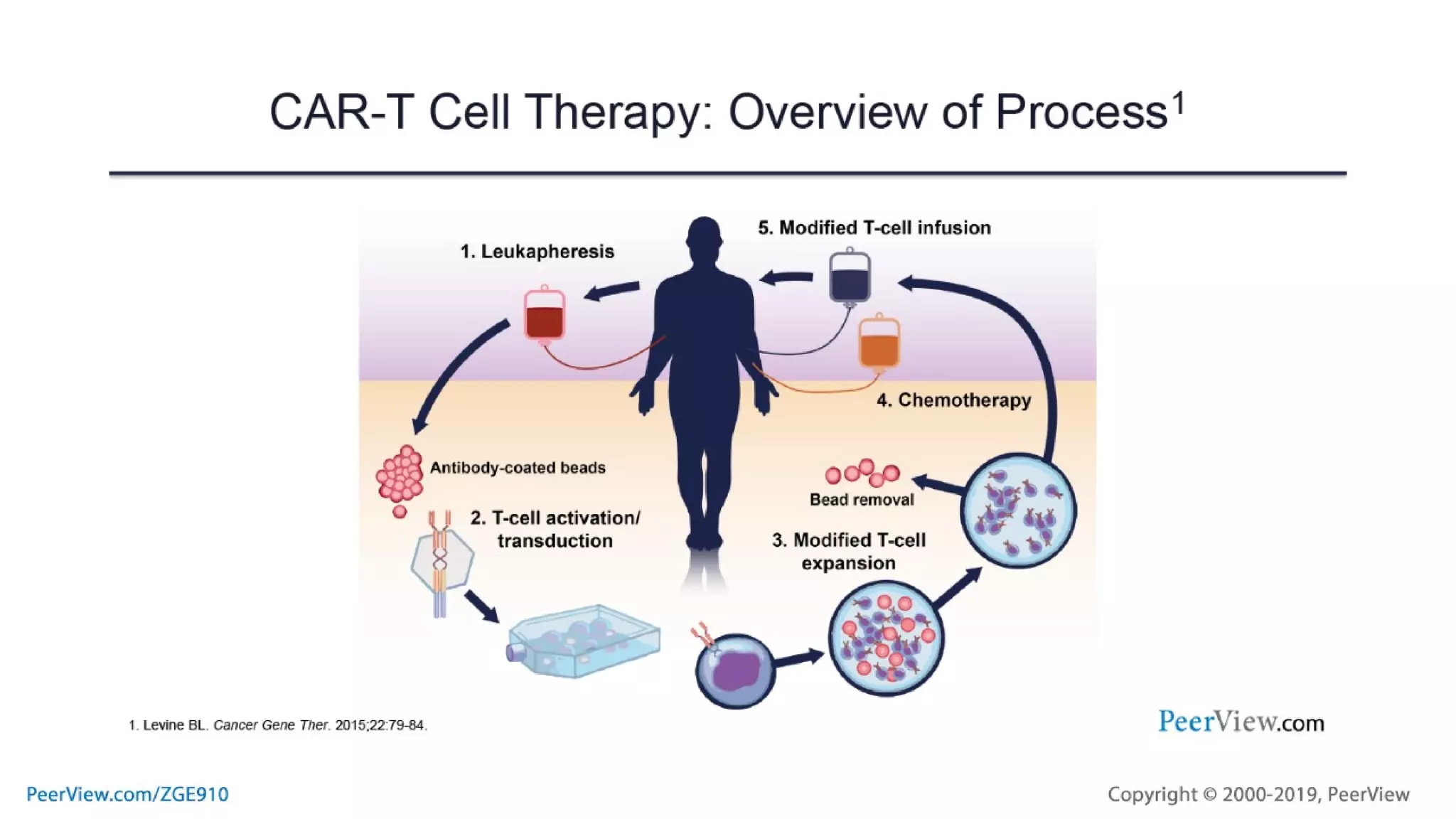 Harnessing Recent Advances in CAR-T Cell Therapy for Leukemia and ...