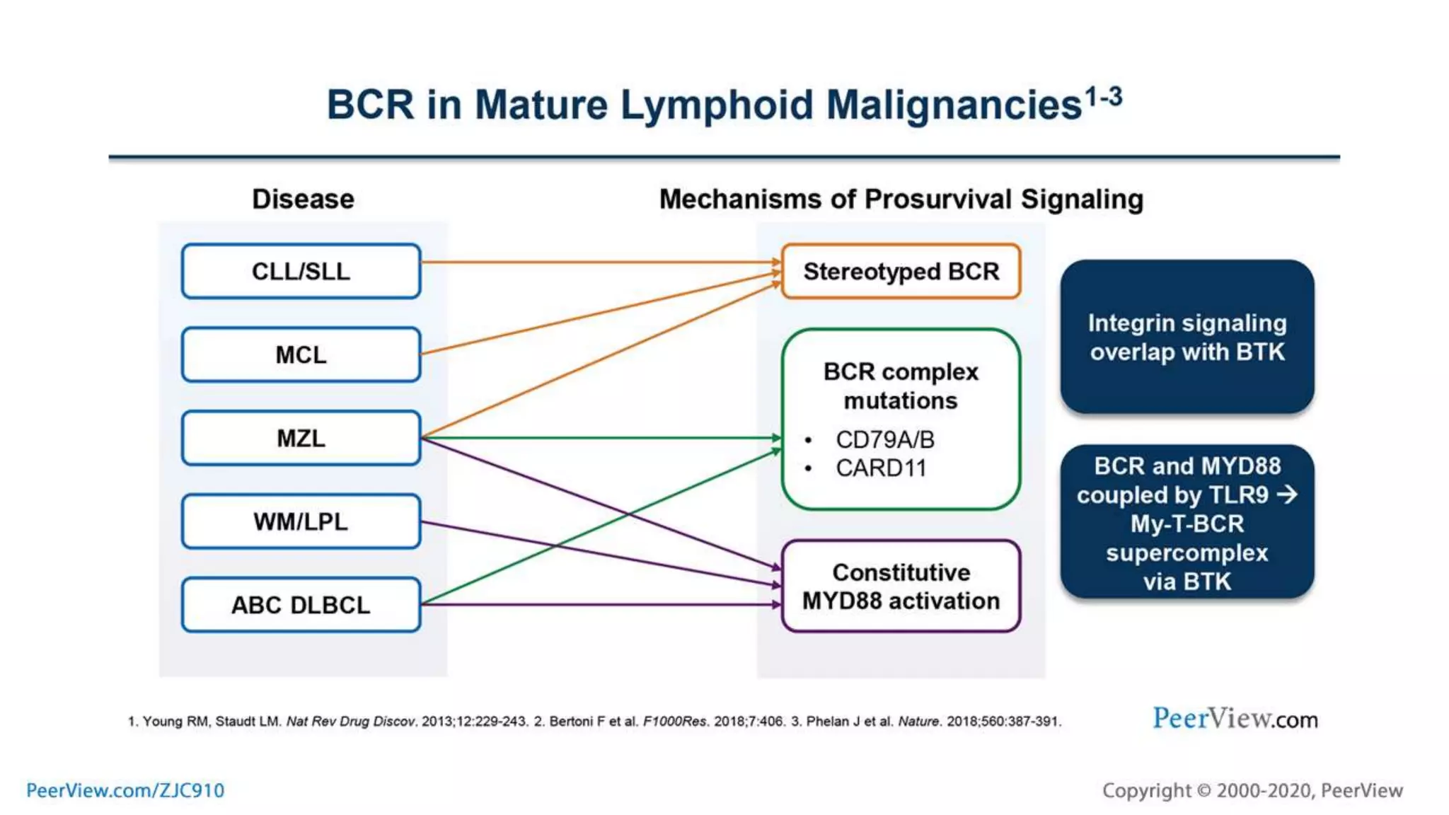 Achieving Innovation in CLL Care With BTK Inhibitors: Selection, Safety ...