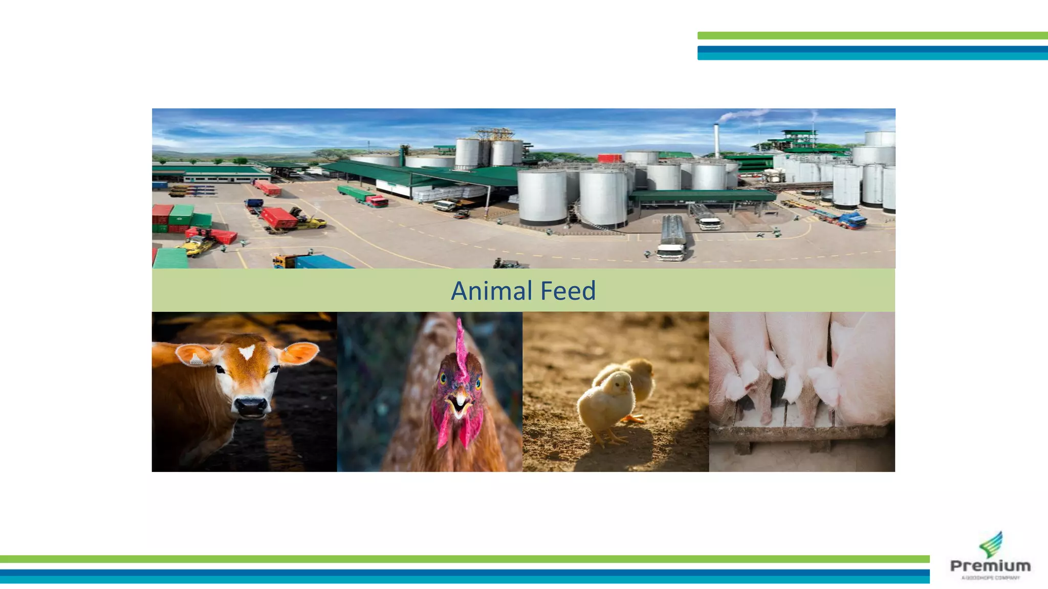 Premium Vegetable Oils - Animal Feed Division | PDF