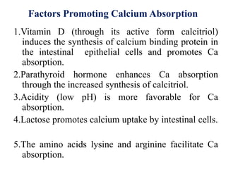Calcium | PPTX