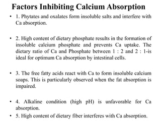 Calcium | PPTX