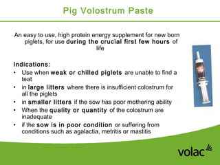 The importance of colostrum and early piglet nutrition | PPT